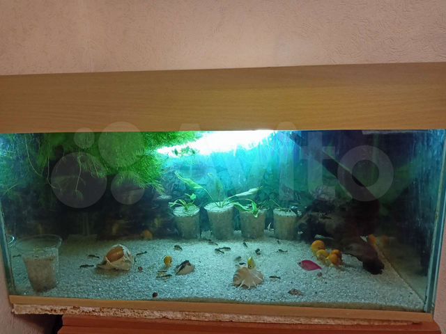 Аквариум